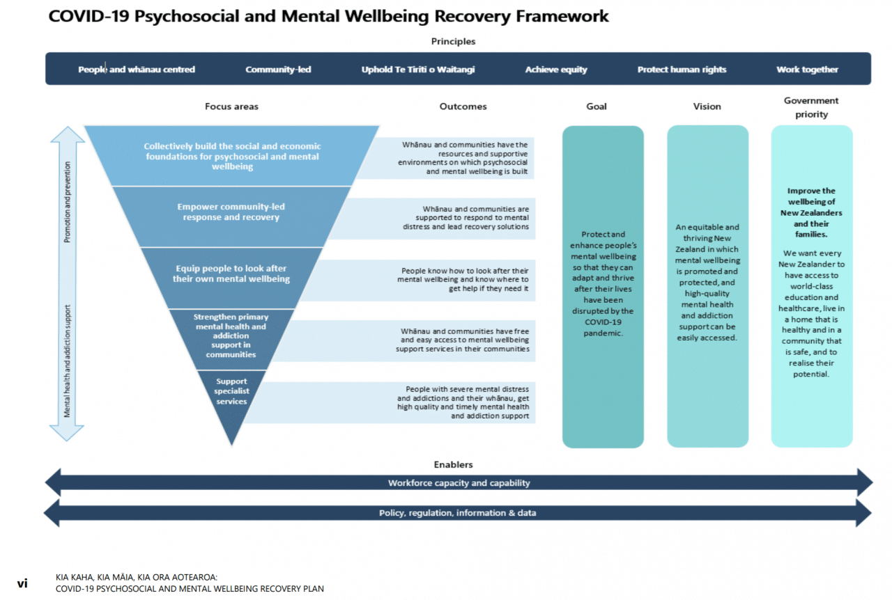 Ministry of Health Strategy | Tātaihono